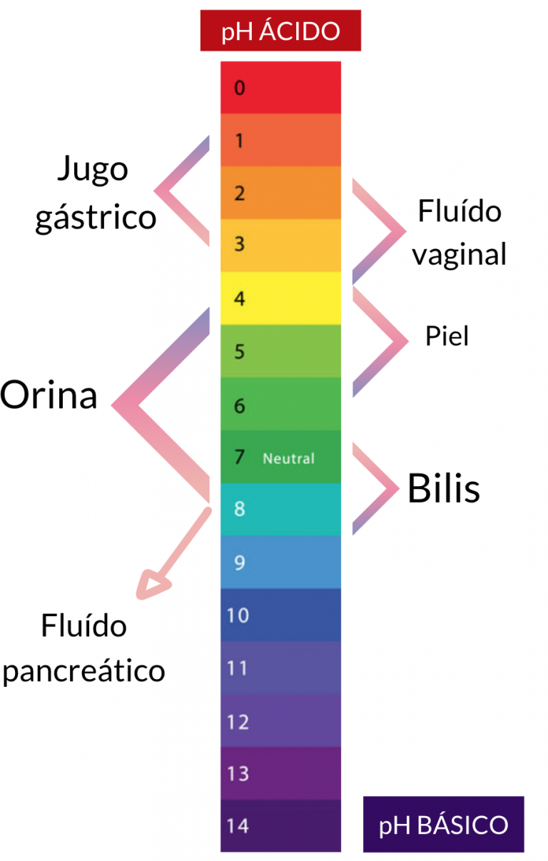 Tabla de ph del cuerpo humano - Diario Acoruña